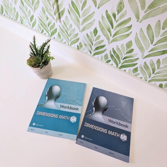 Singapore | Other | New Singapore Dimensions Math Workbooks 6a And 6b ...